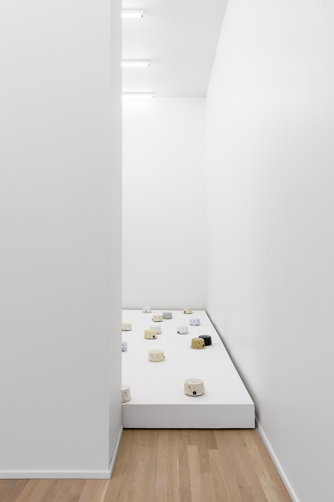 Jason Lazarus / Empathy Fatigue